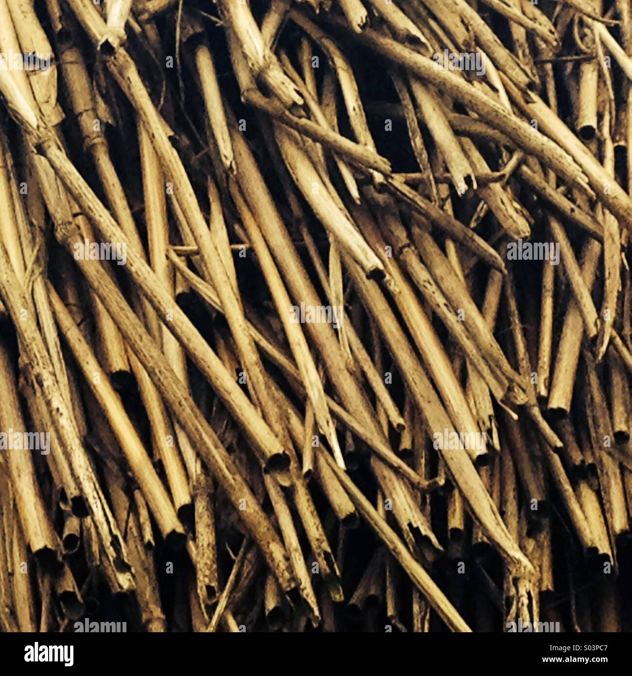 Thatch texture of reeds Stock Photo - Alamy