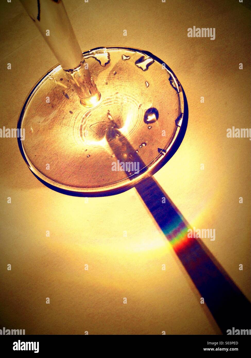 Stem and base of glass casting shadow Stock Photo - Alamy