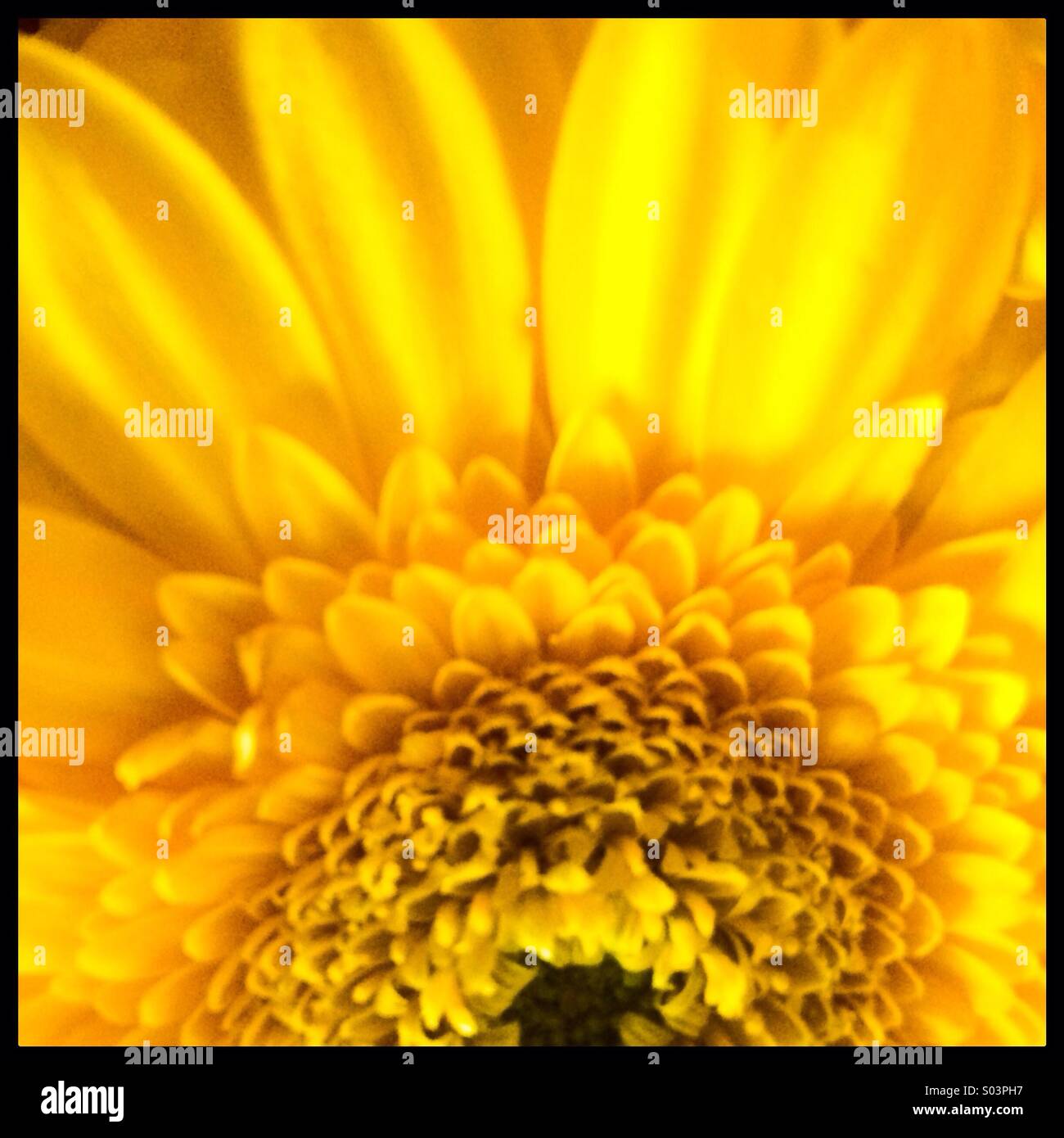Yellow rising hi-res stock photography and images - Alamy