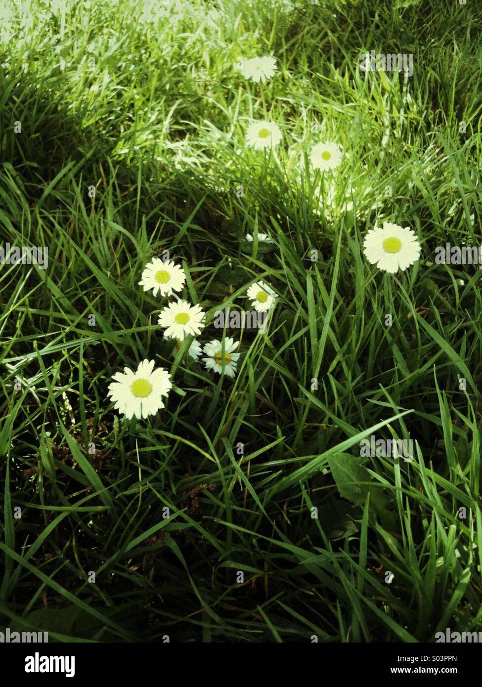 Small parks hi-res stock photography and images - Alamy