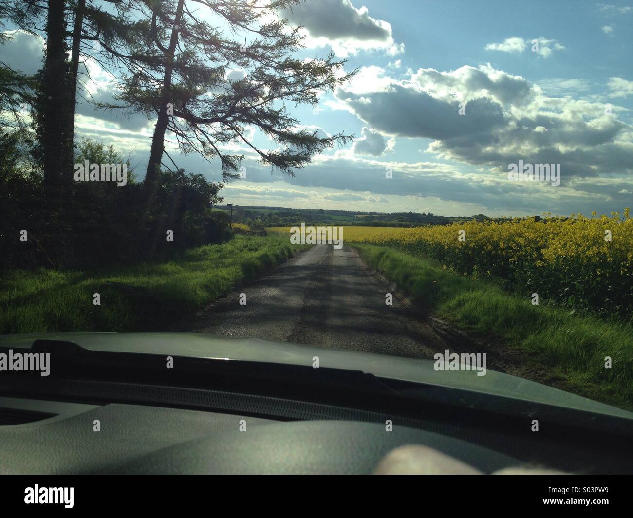 Sunny country lane hi-res stock photography and images - Alamy