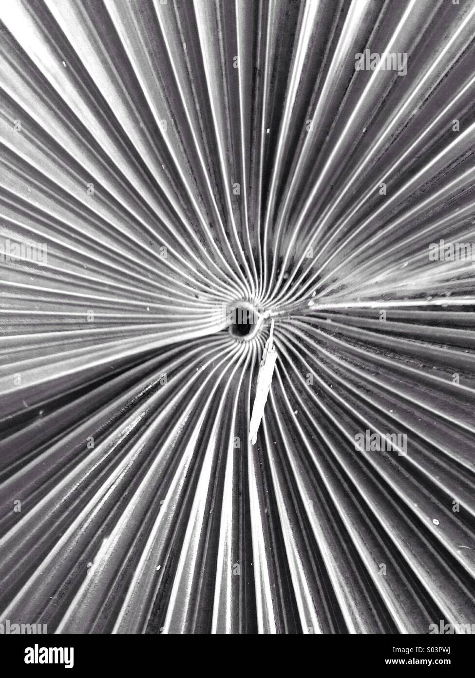 Infinity shape hi-res stock photography and images - Alamy