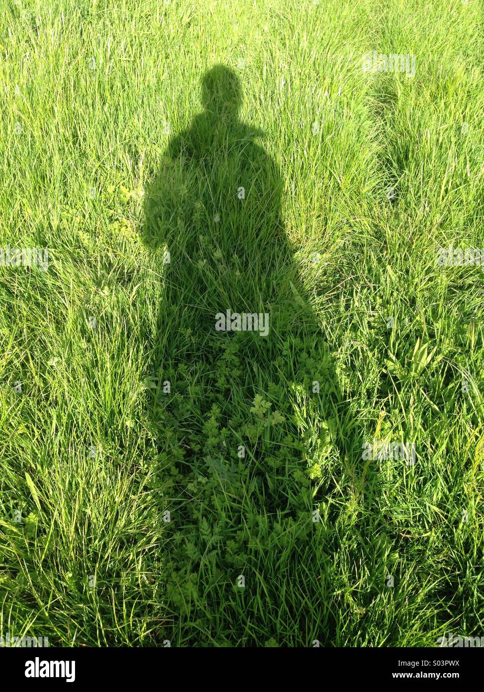 Man shadow grass hi-res stock photography and images - Alamy
