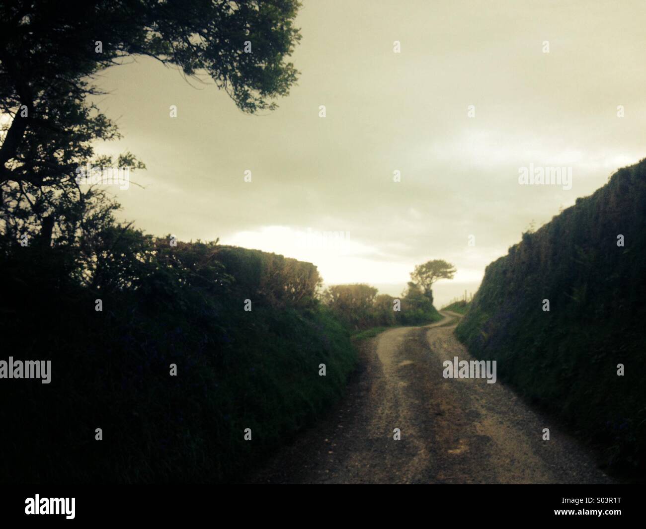 Rural lane in Donegal Ireland Stock Photo - Alamy