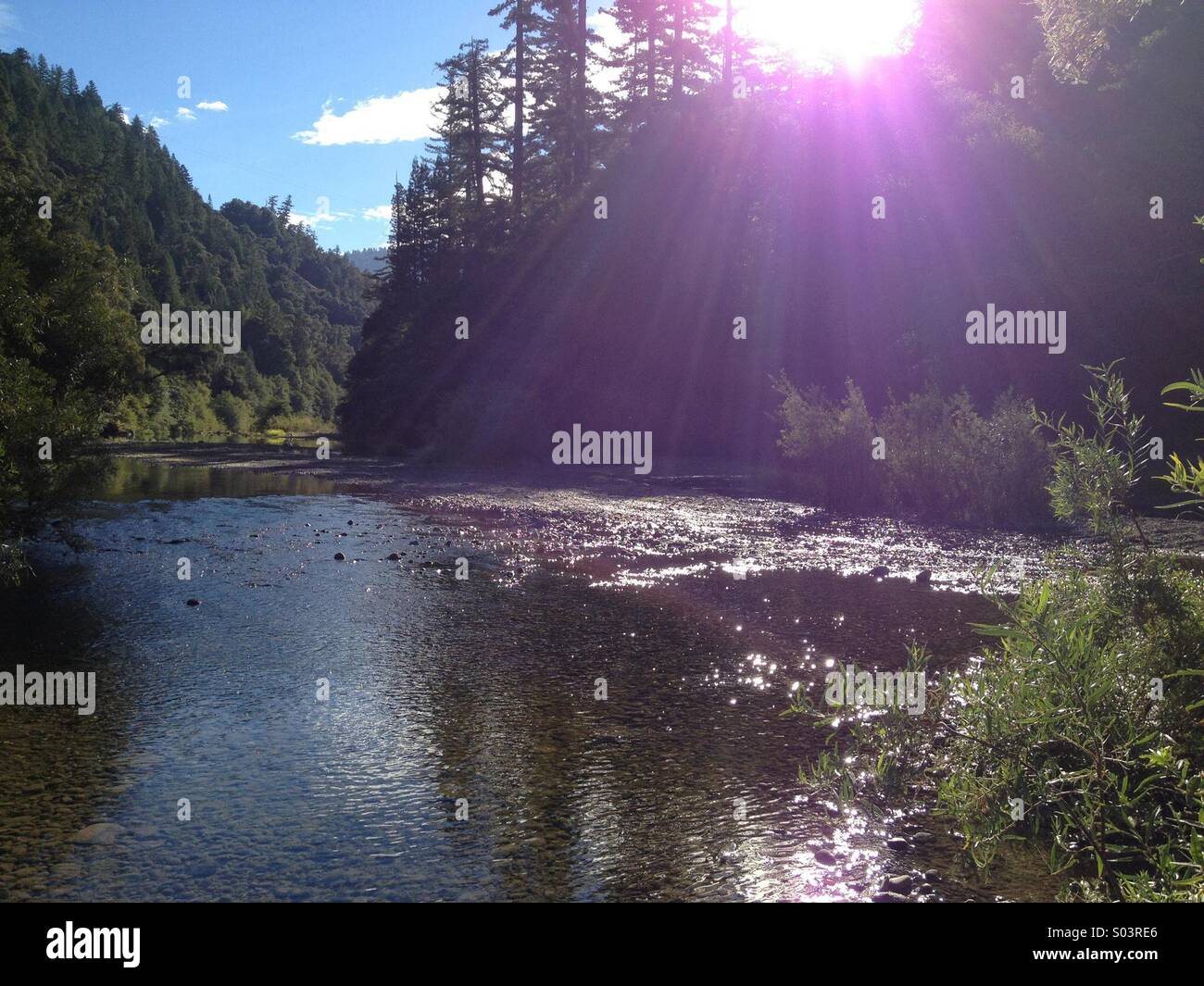 River sun reflections Stock Photo - Alamy