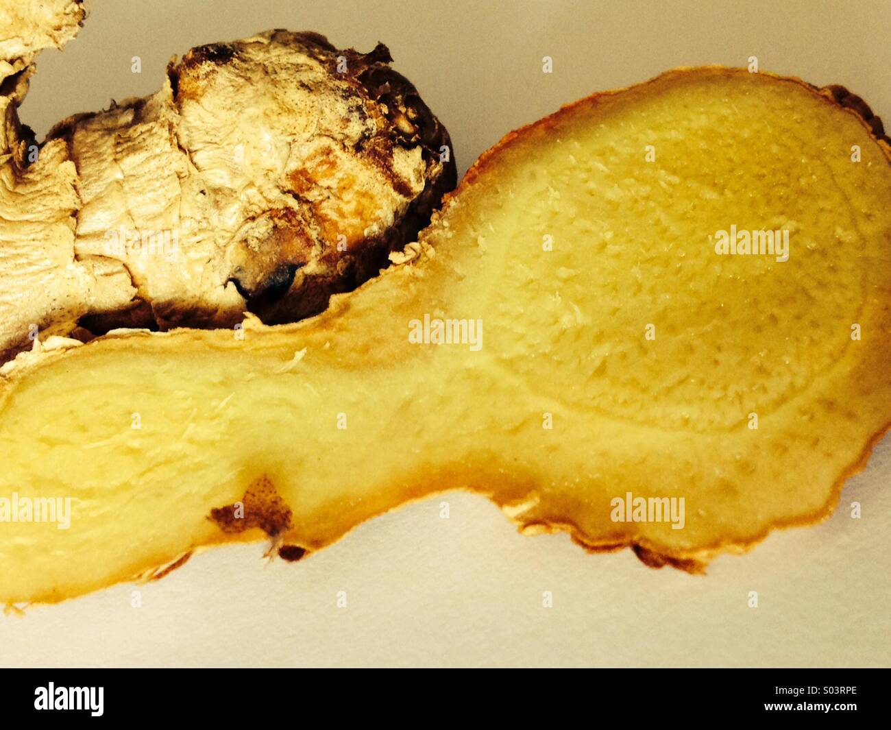Ginger root cut Zingiberaceae Stock Photo - Alamy