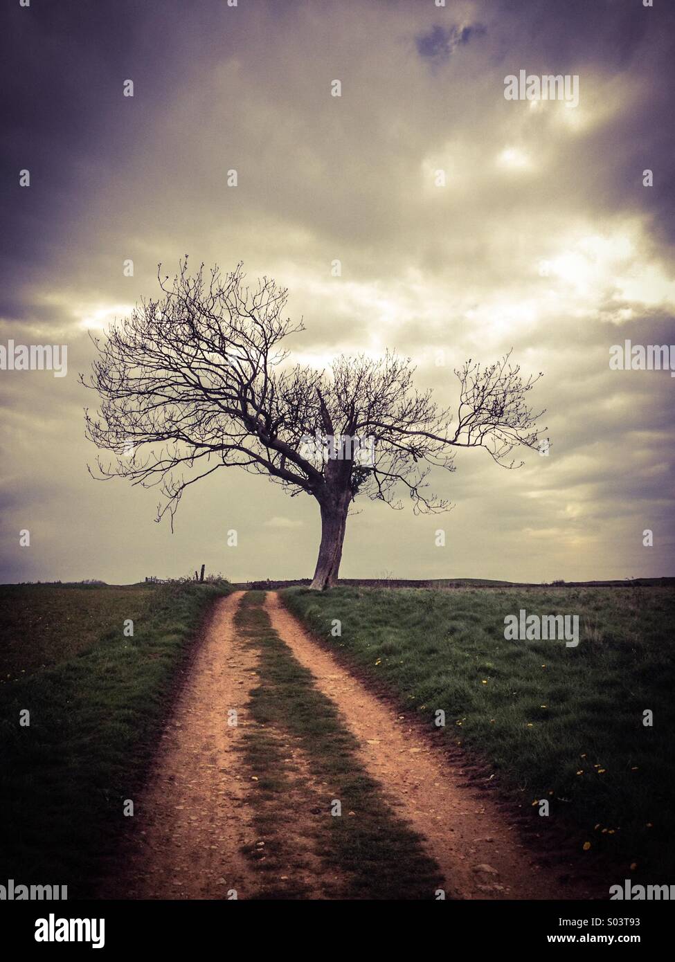 Country track, England, UK Stock Photo - Alamy