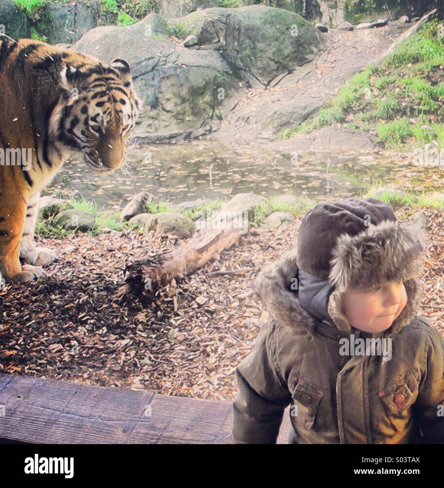 Tiger and boy hi-res stock photography and images - Alamy