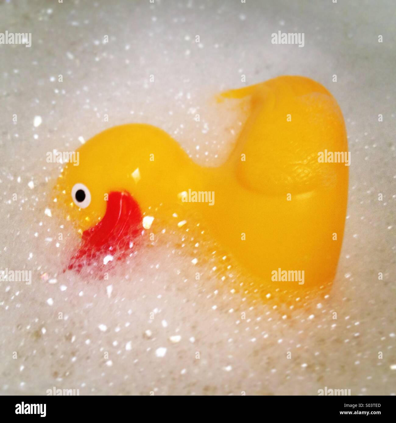 Rubber duckie hi-res stock photography and images - Alamy
