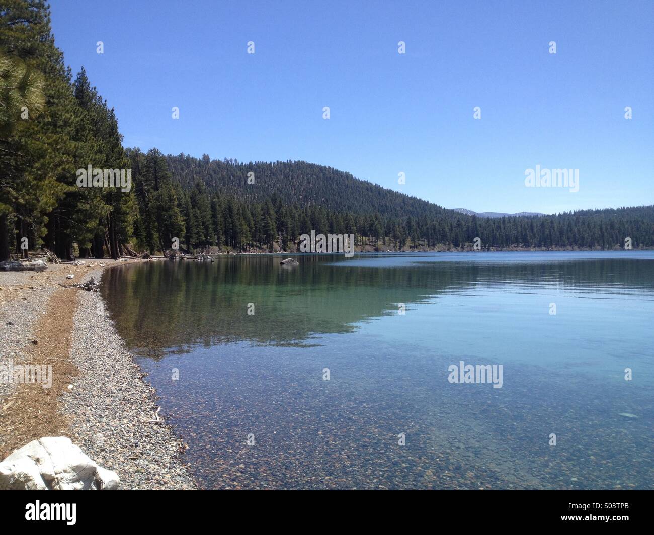 Falling leaf hi-res stock photography and images - Alamy