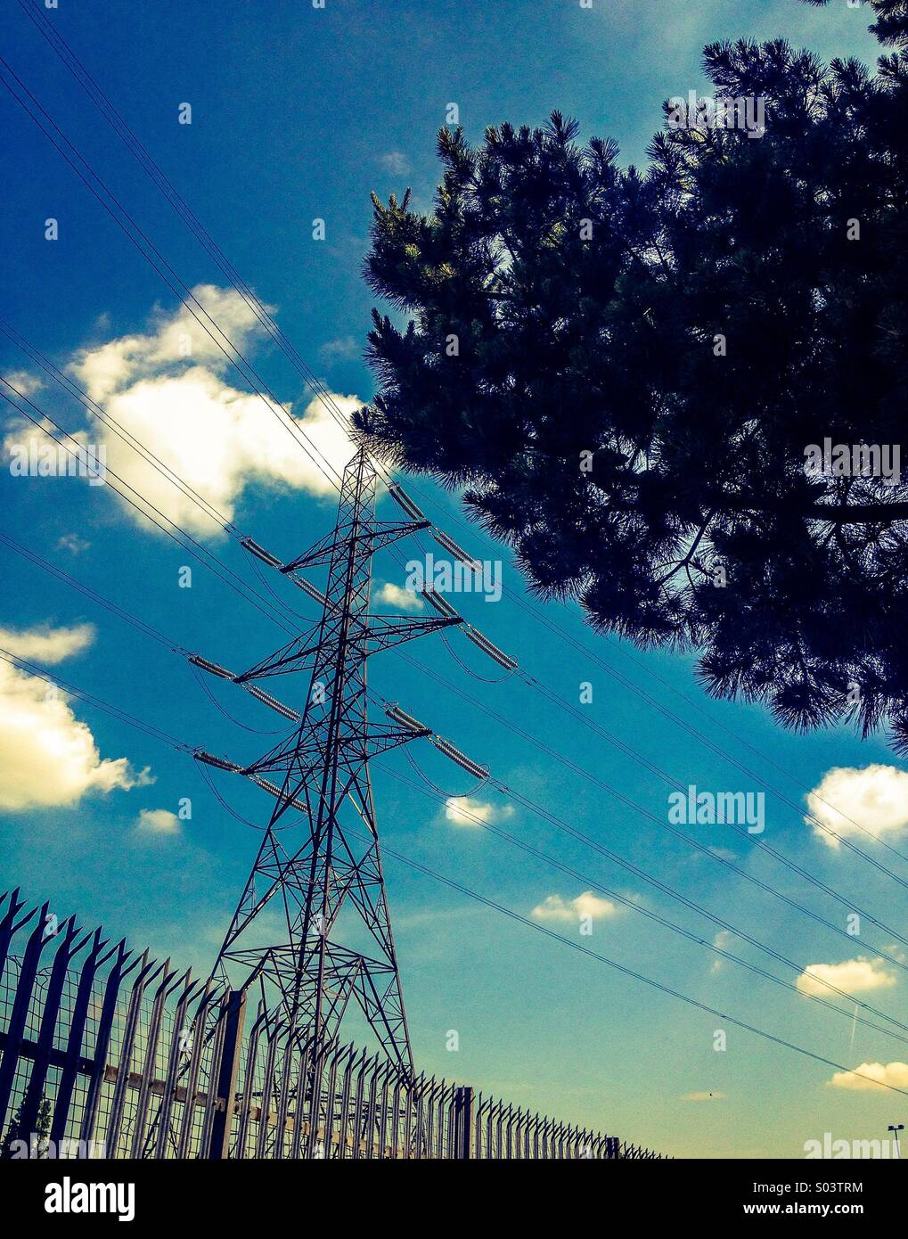 Electricity pylon next to tree against blue sky with cloud Stock Photo ...