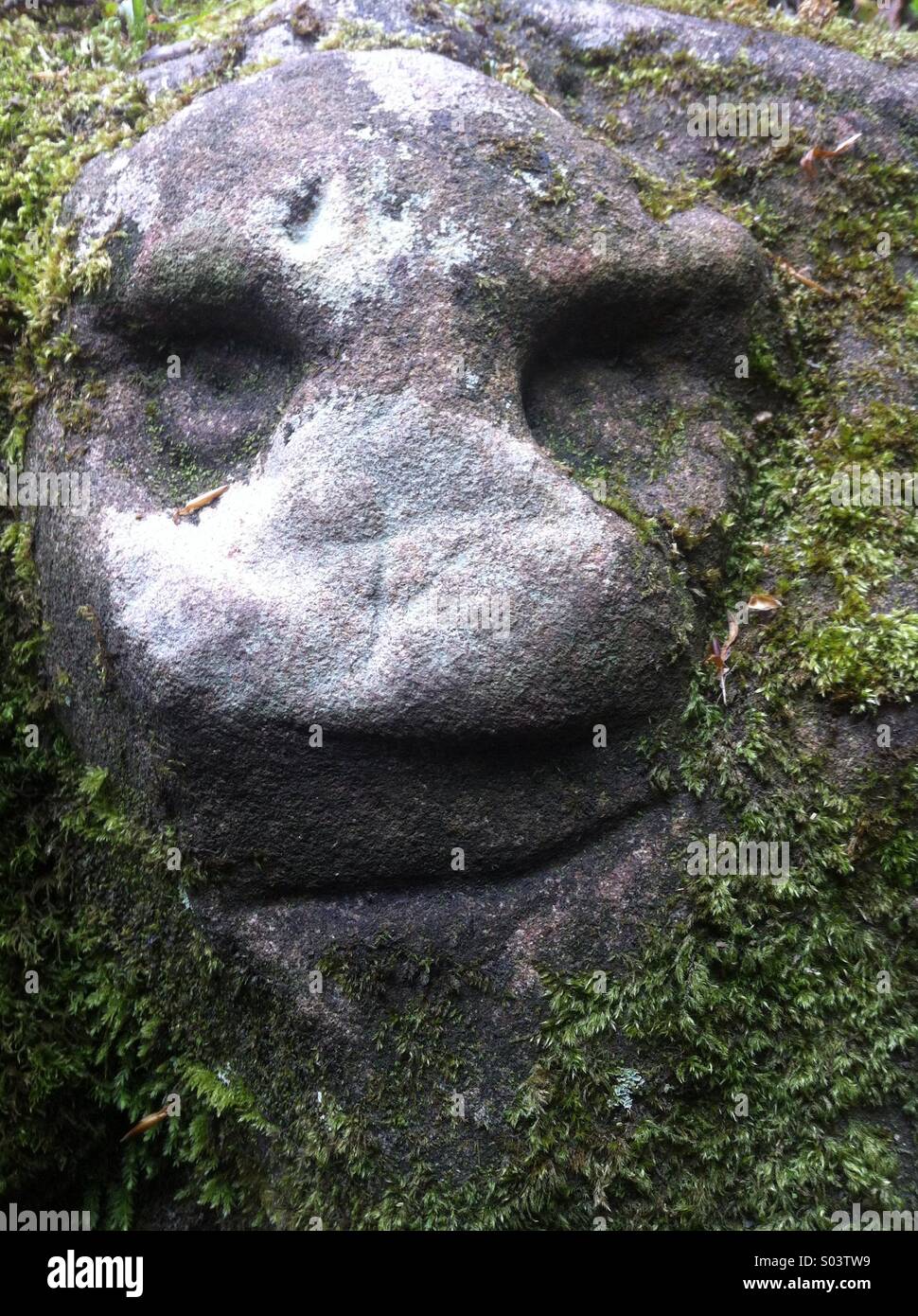 Spirit of nature Stock Photo - Alamy