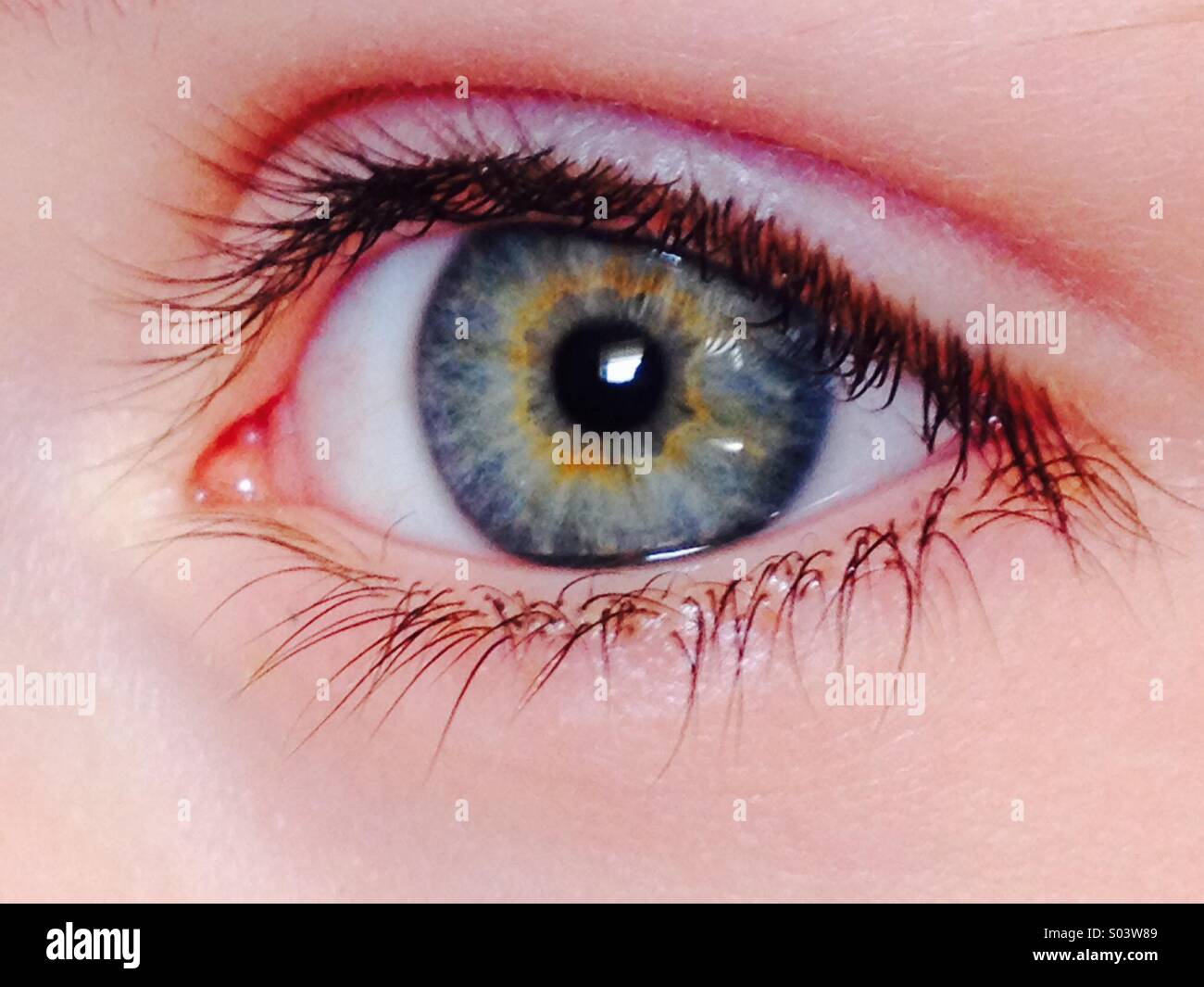 Child's left eye close up Stock Photo - Alamy