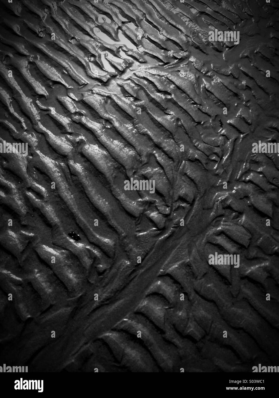 Wet sand patterns Black and White Stock Photos & Images - Alamy