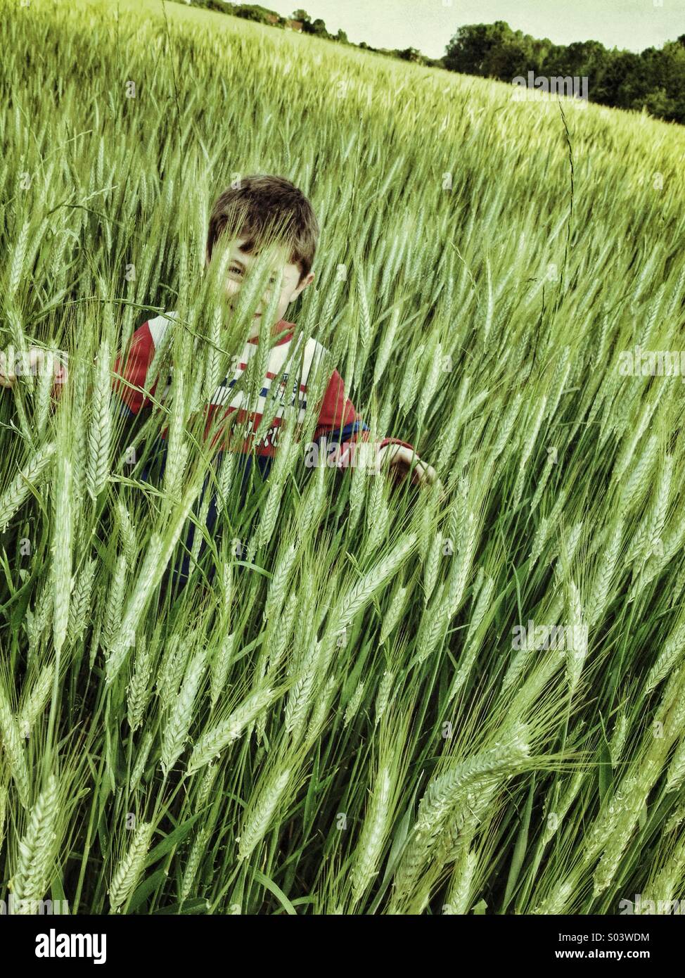 Child in the field hi-res stock photography and images - Alamy