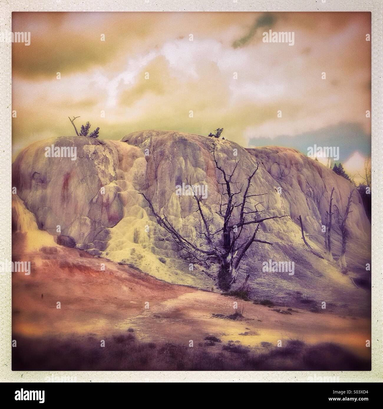 Mound spring hi-res stock photography and images - Alamy