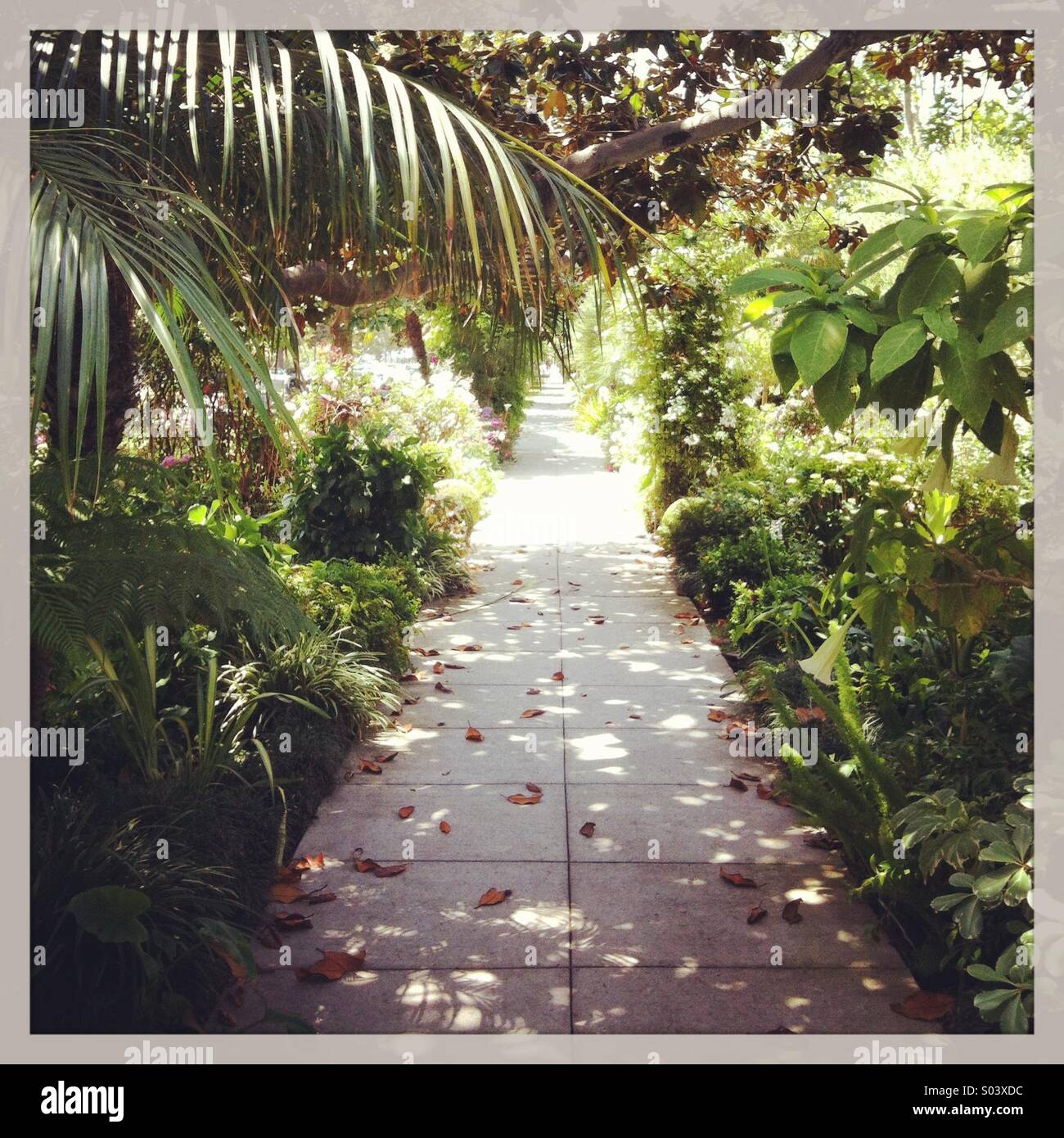 Beautiful walk hi-res stock photography and images - Alamy