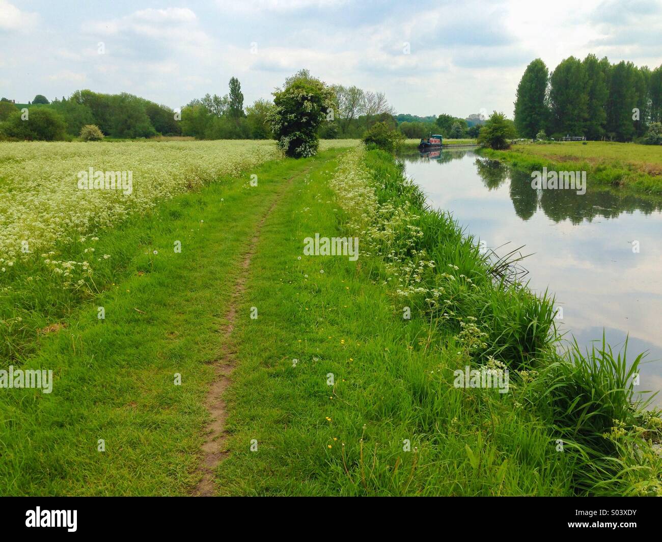 Riverside alongside river bank hi-res stock photography and images - Alamy