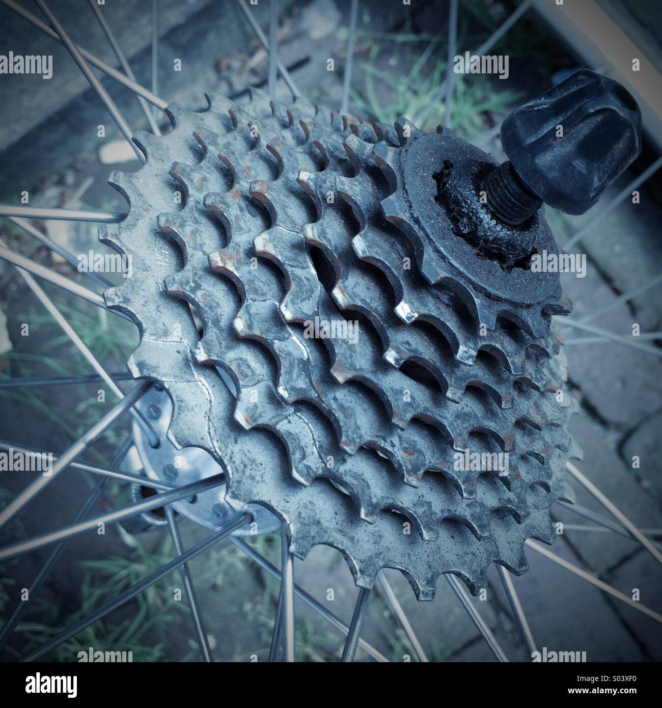 Bicycle gears hi-res stock photography and images - Alamy