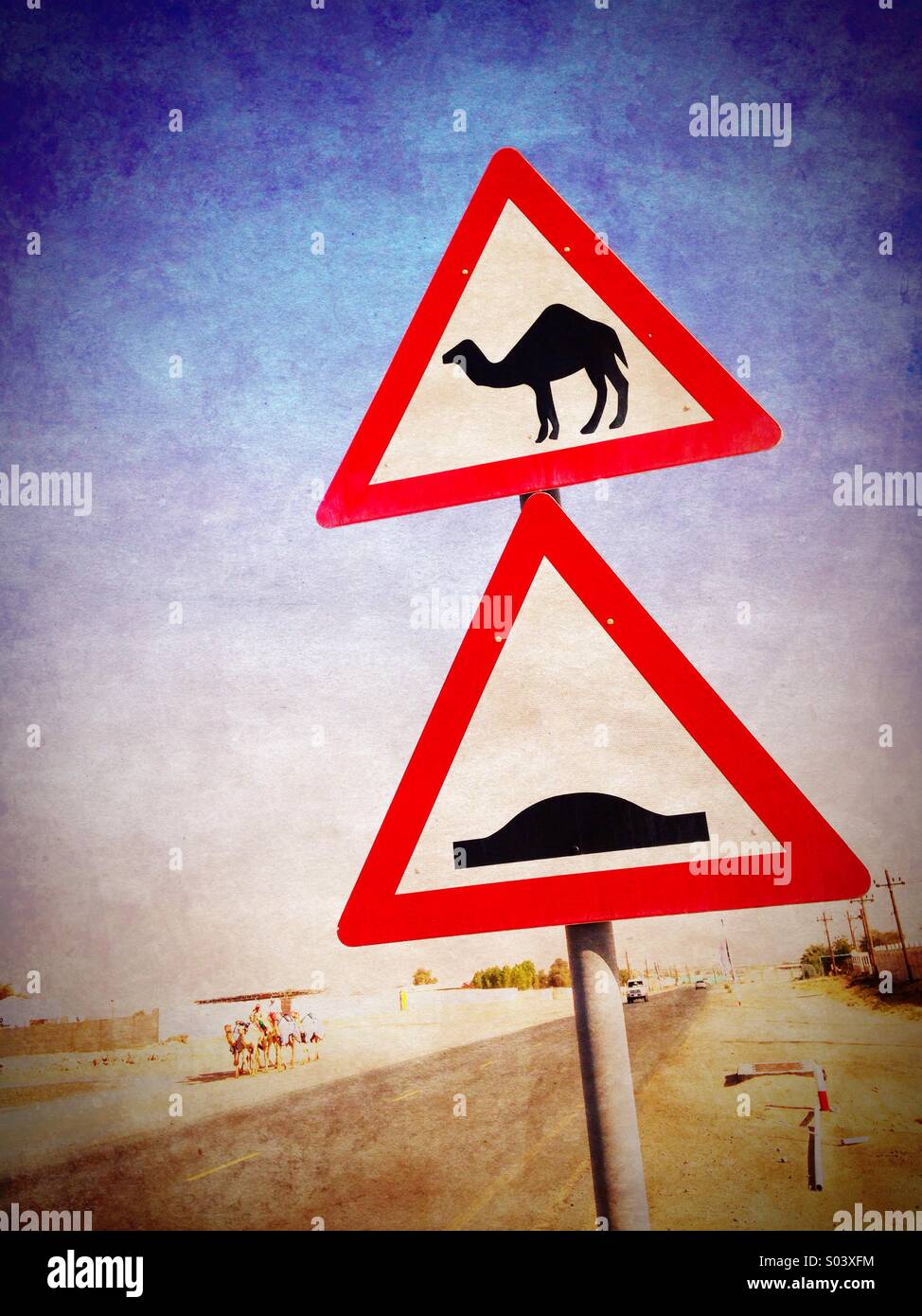 Traffic signs warning of camels and hump in Dubai desert Stock Photo ...