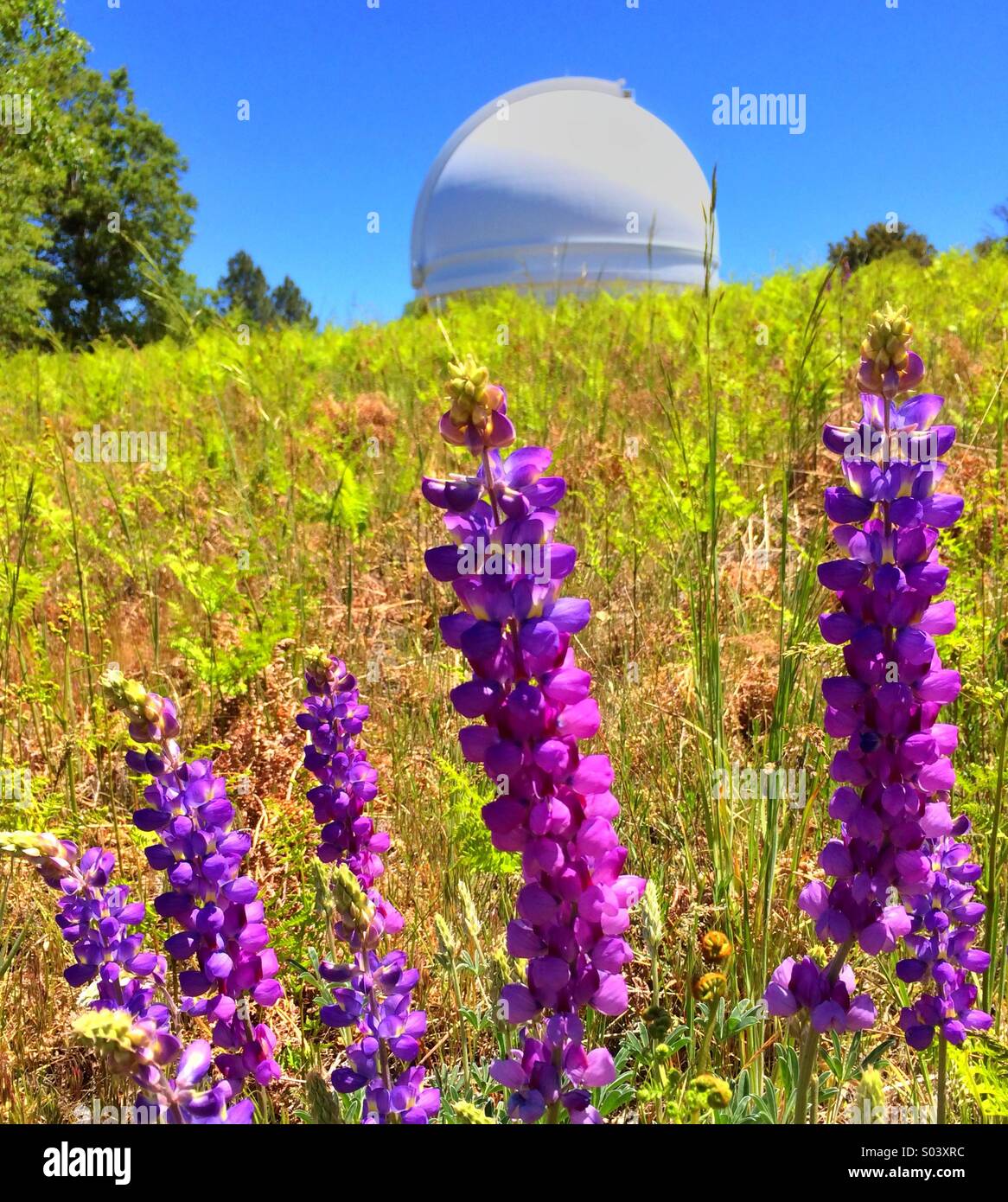 Palomar telescope hi-res stock photography and images - Alamy