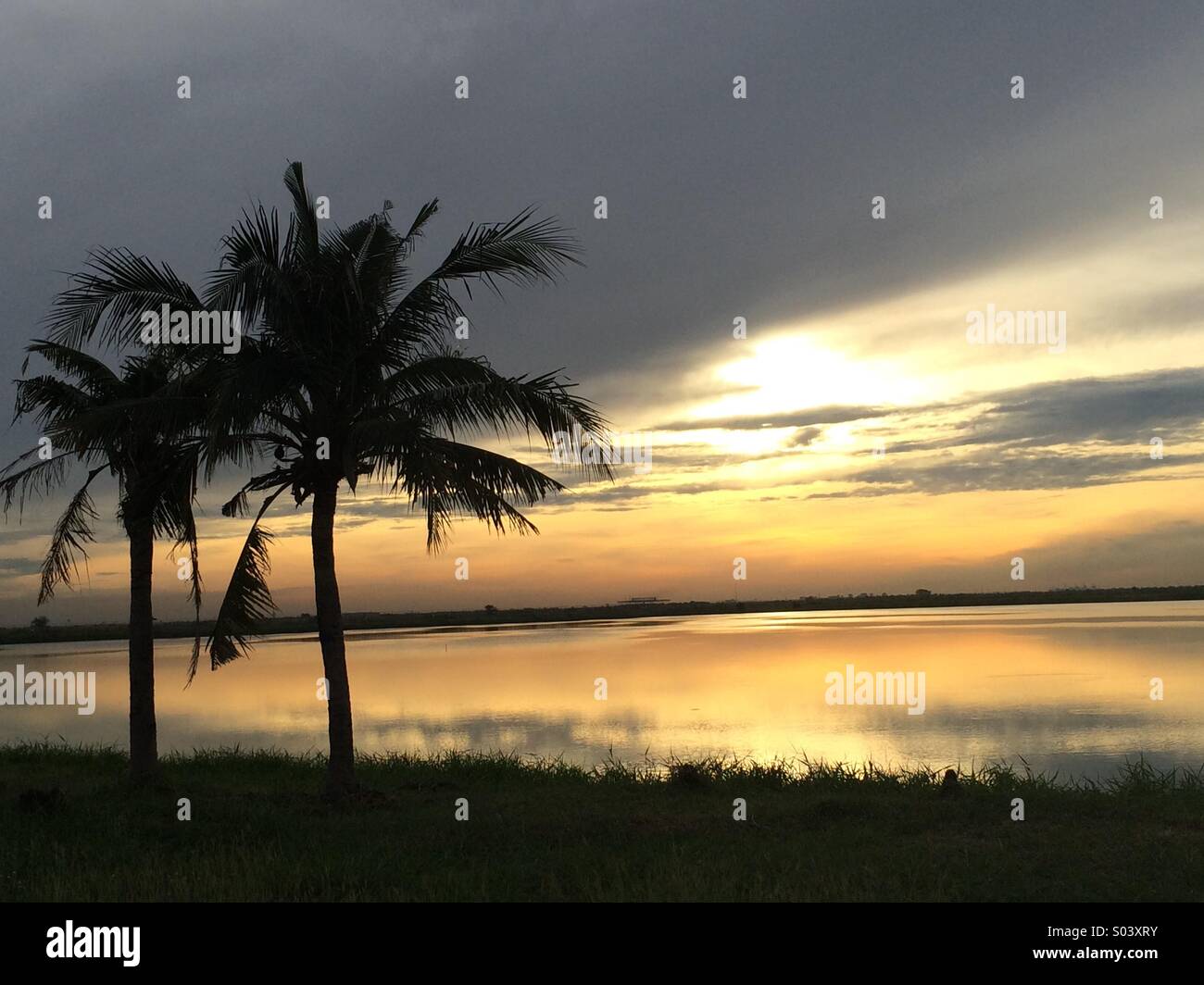 Coconut Trees Near Sea High Resolution Stock Photography and Images - Alamy