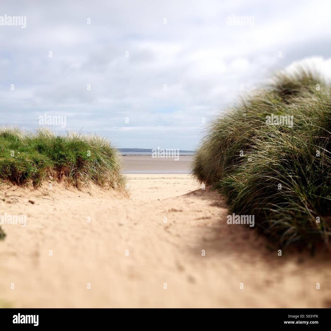 Sand dunes, Waterford, Ireland Stock Photo - Alamy