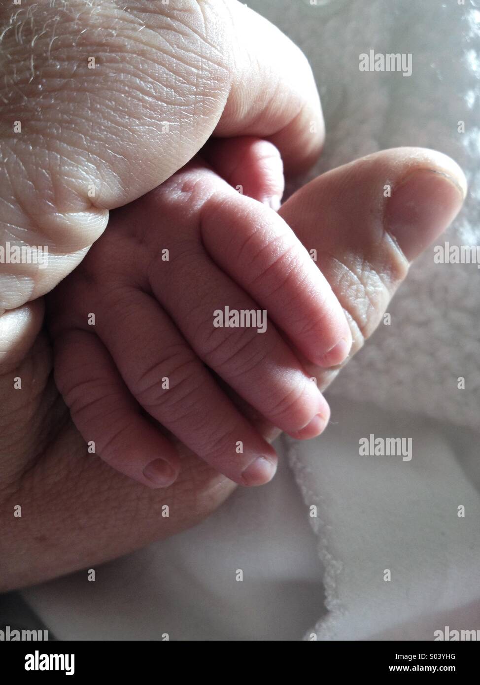 Baby holding hands hi-res stock photography and images - Alamy