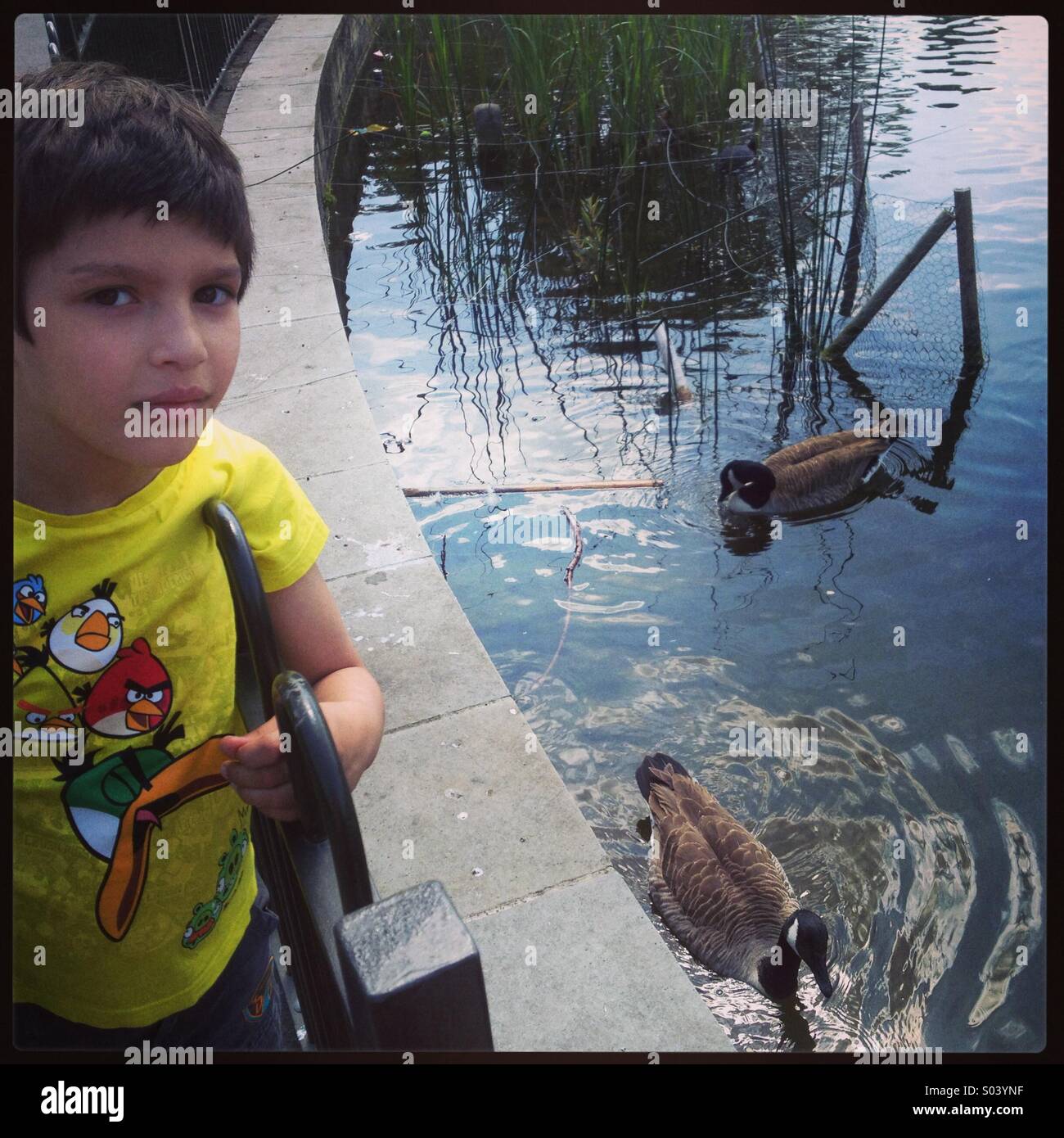 Boy with ducks hi-res stock photography and images - Alamy