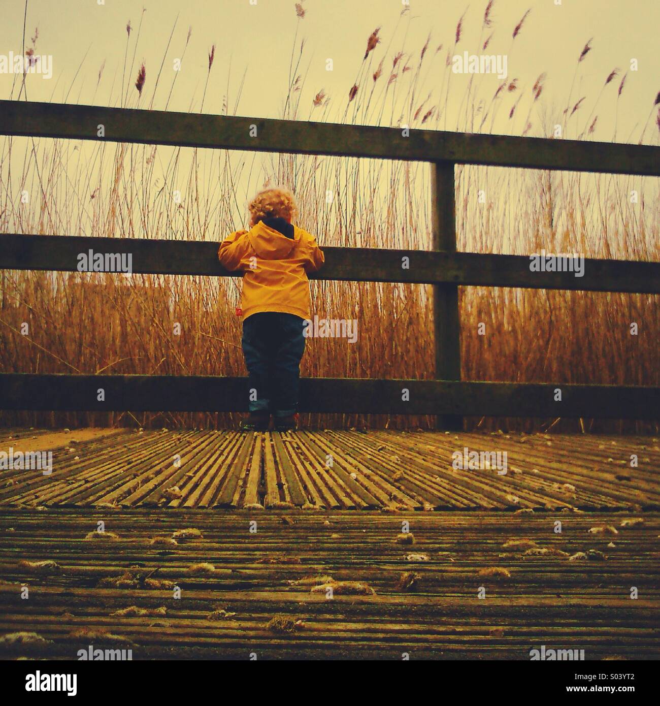 Little boy looking over side of bridge Stock Photo - Alamy