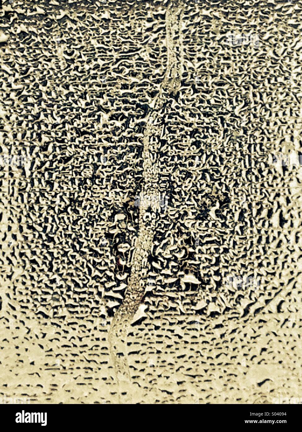 Pattern of droplets Stock Photo - Alamy