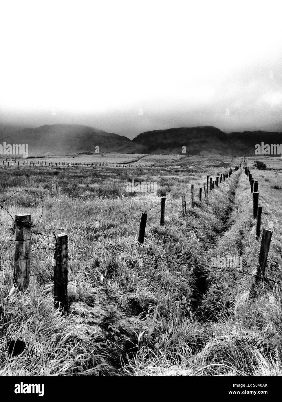 Hard land hi-res stock photography and images - Alamy