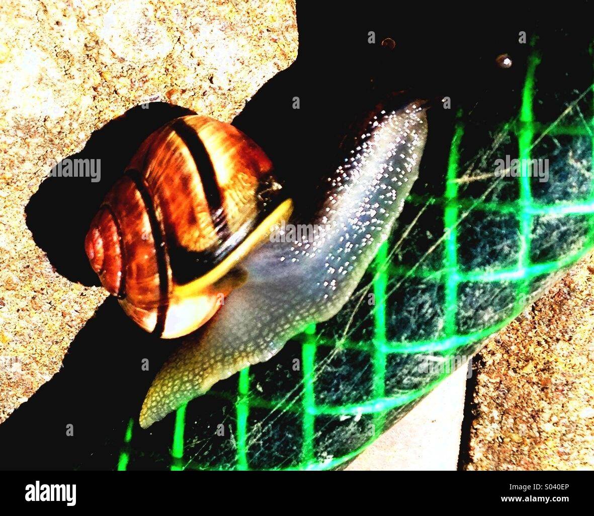 Garden hose pipe hi-res stock photography and images - Alamy