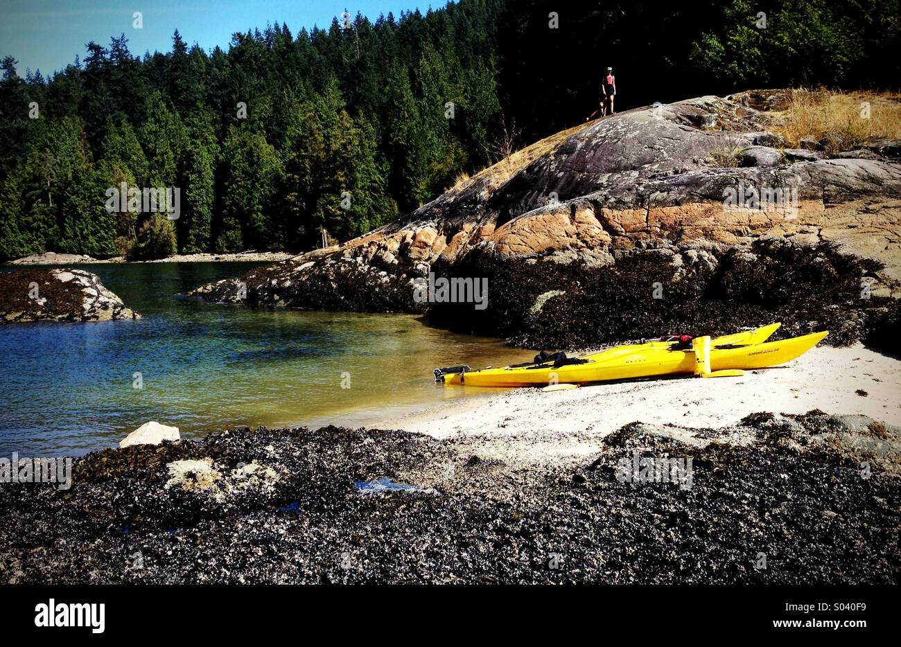 Deep cove kayaking hi-res stock photography and images - Alamy