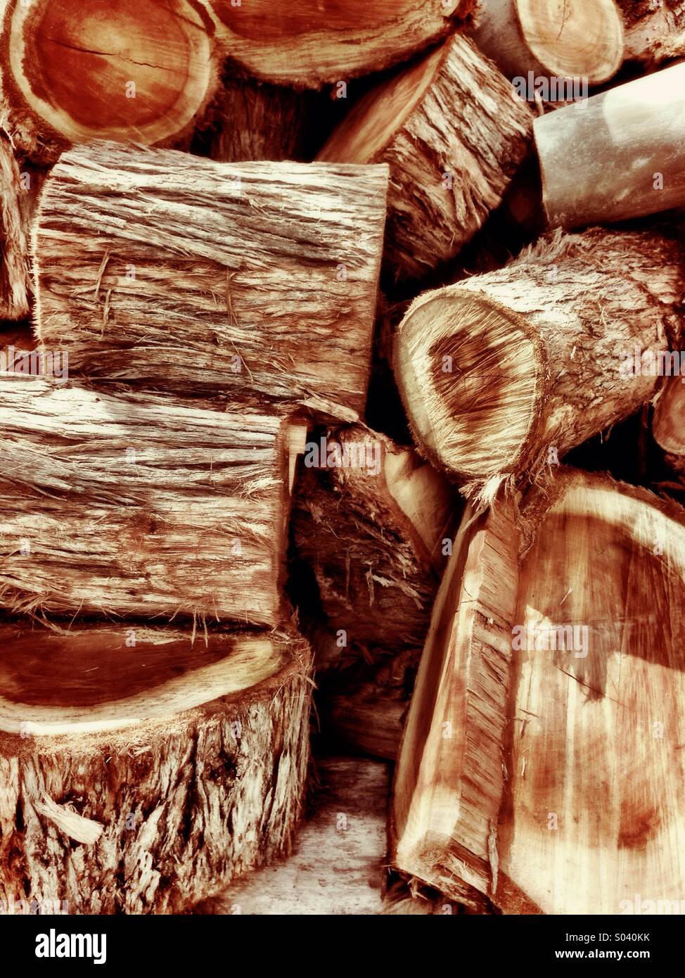 The warmth hi-res stock photography and images - Alamy