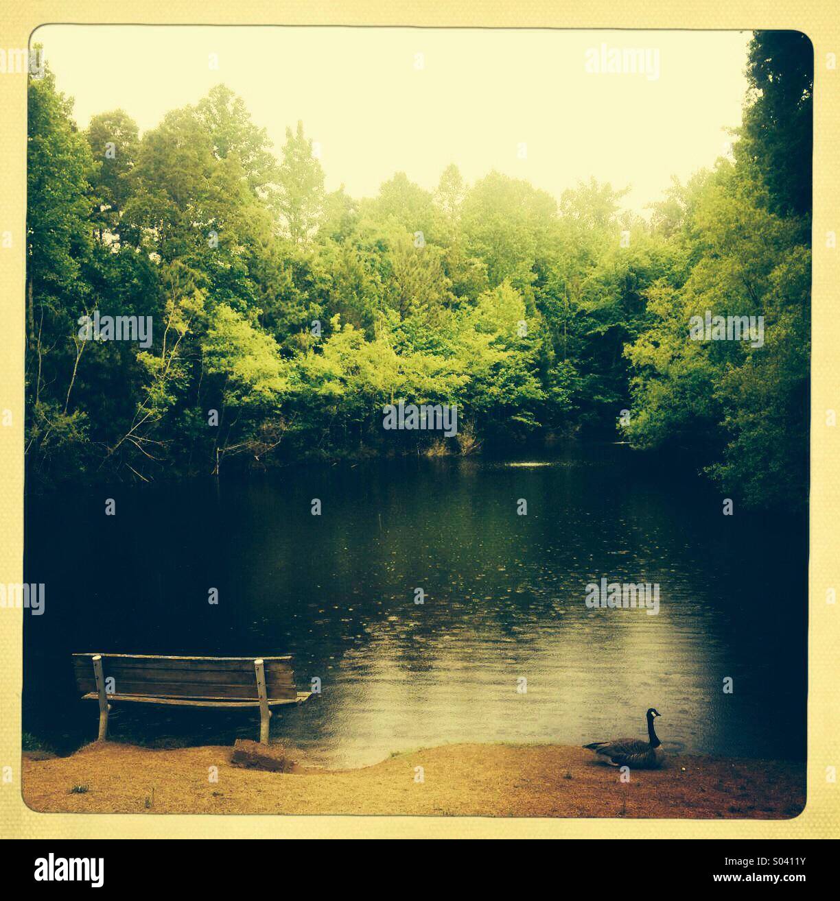 Georgia pond hi-res stock photography and images - Alamy