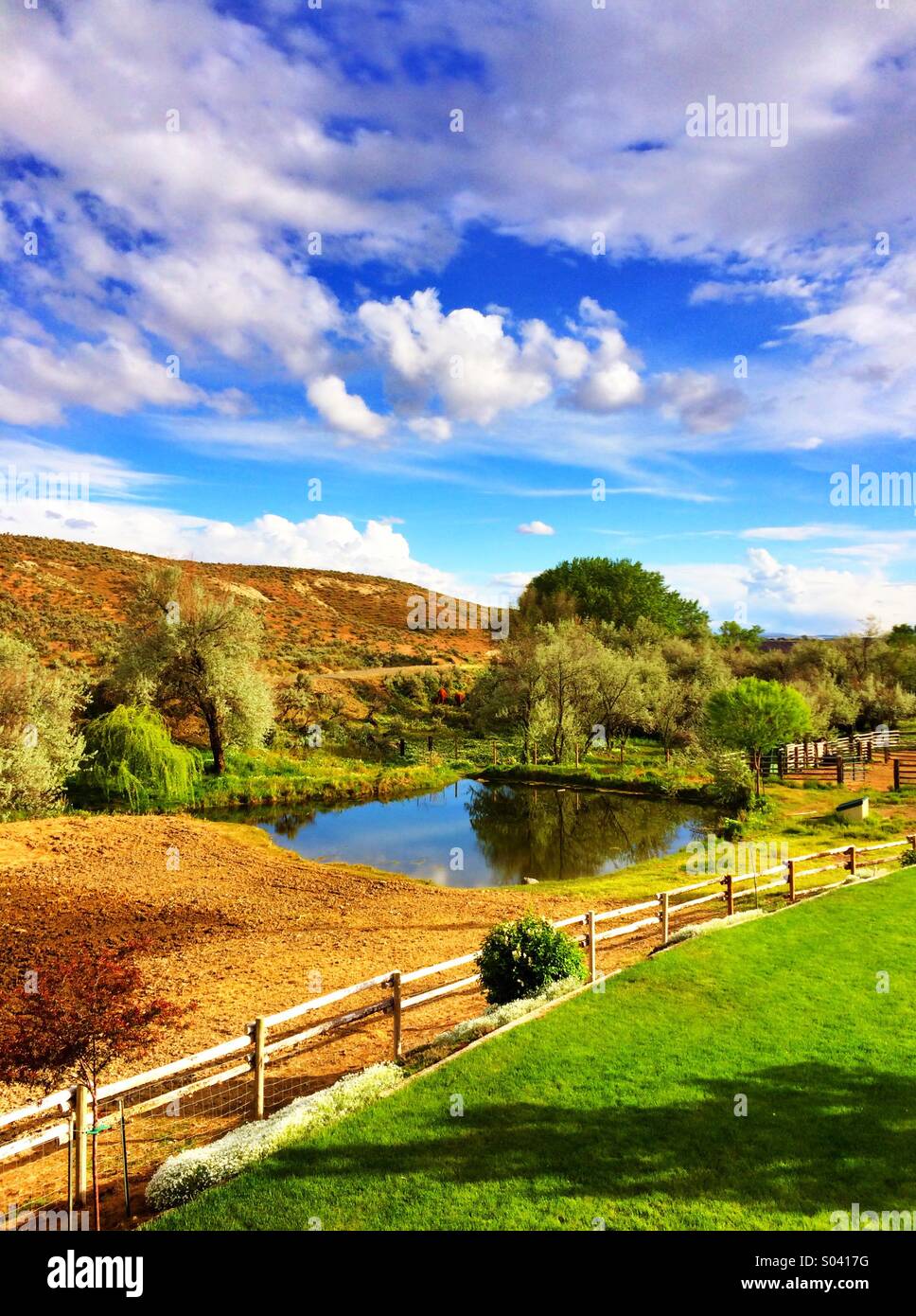 Farm pond hi-res stock photography and images - Alamy