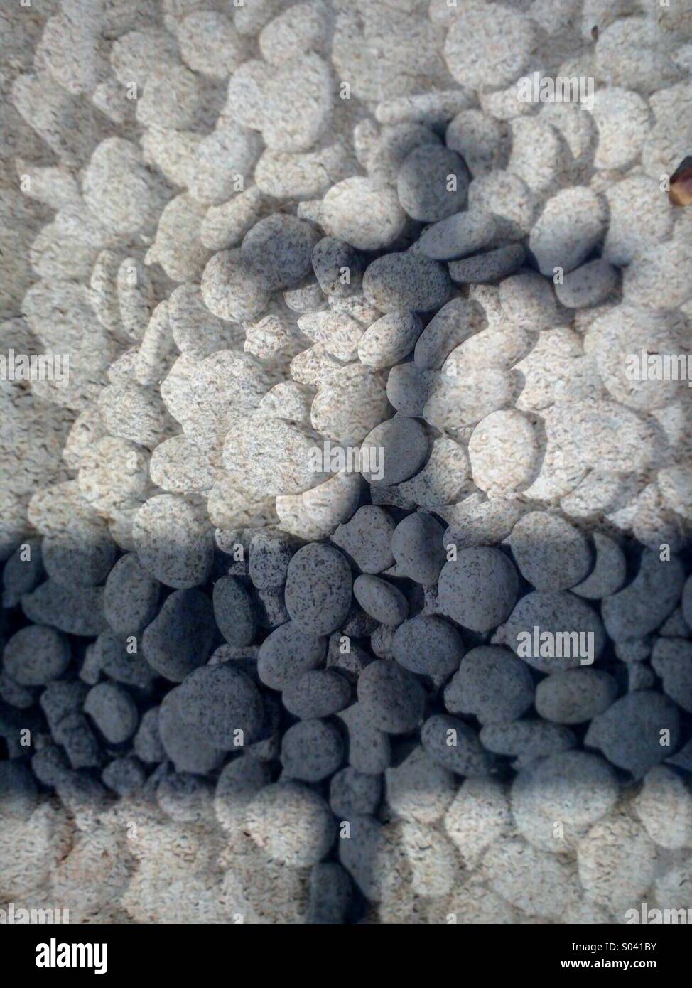Pebbles and shadow Stock Photo - Alamy