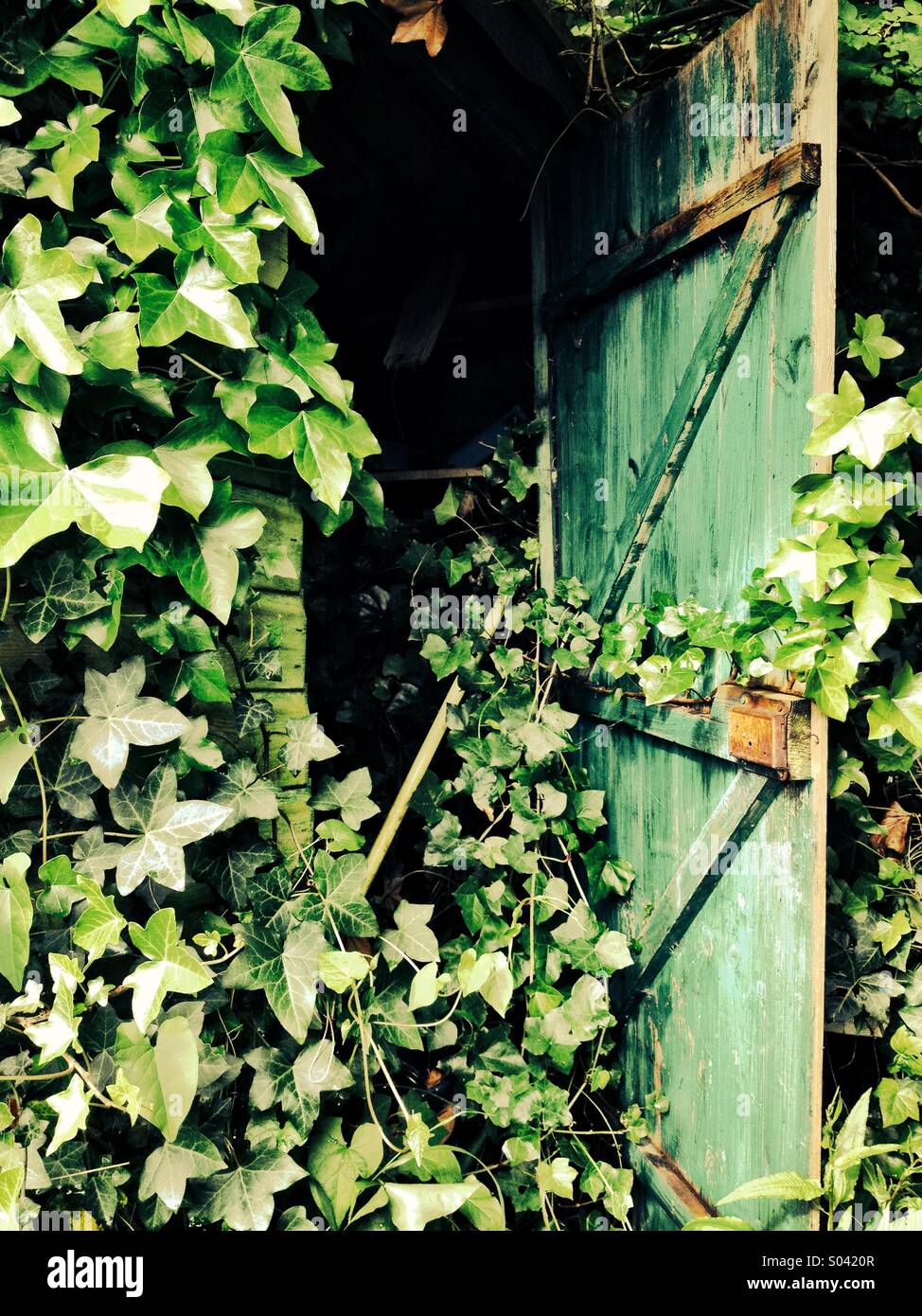 The Old Shed Door Stock Photo Alamy the-old-shed-door-stock-photo-alamy