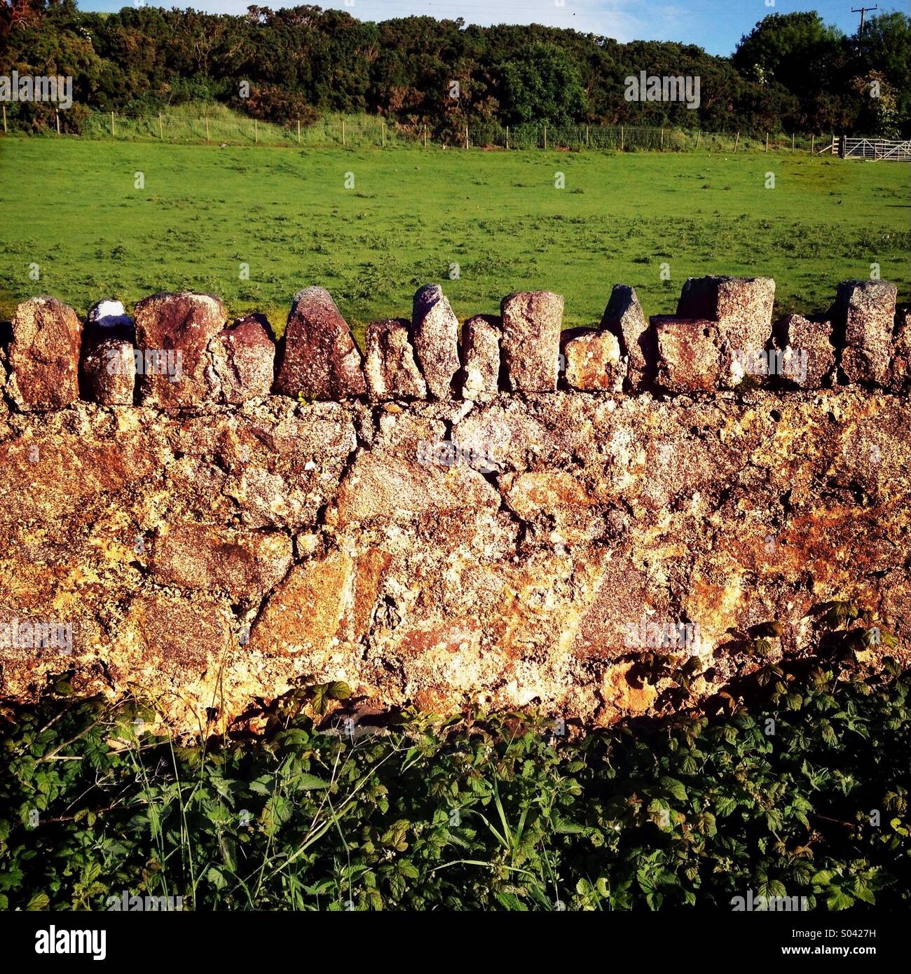 Stone wall and field Stock Photo - Alamy