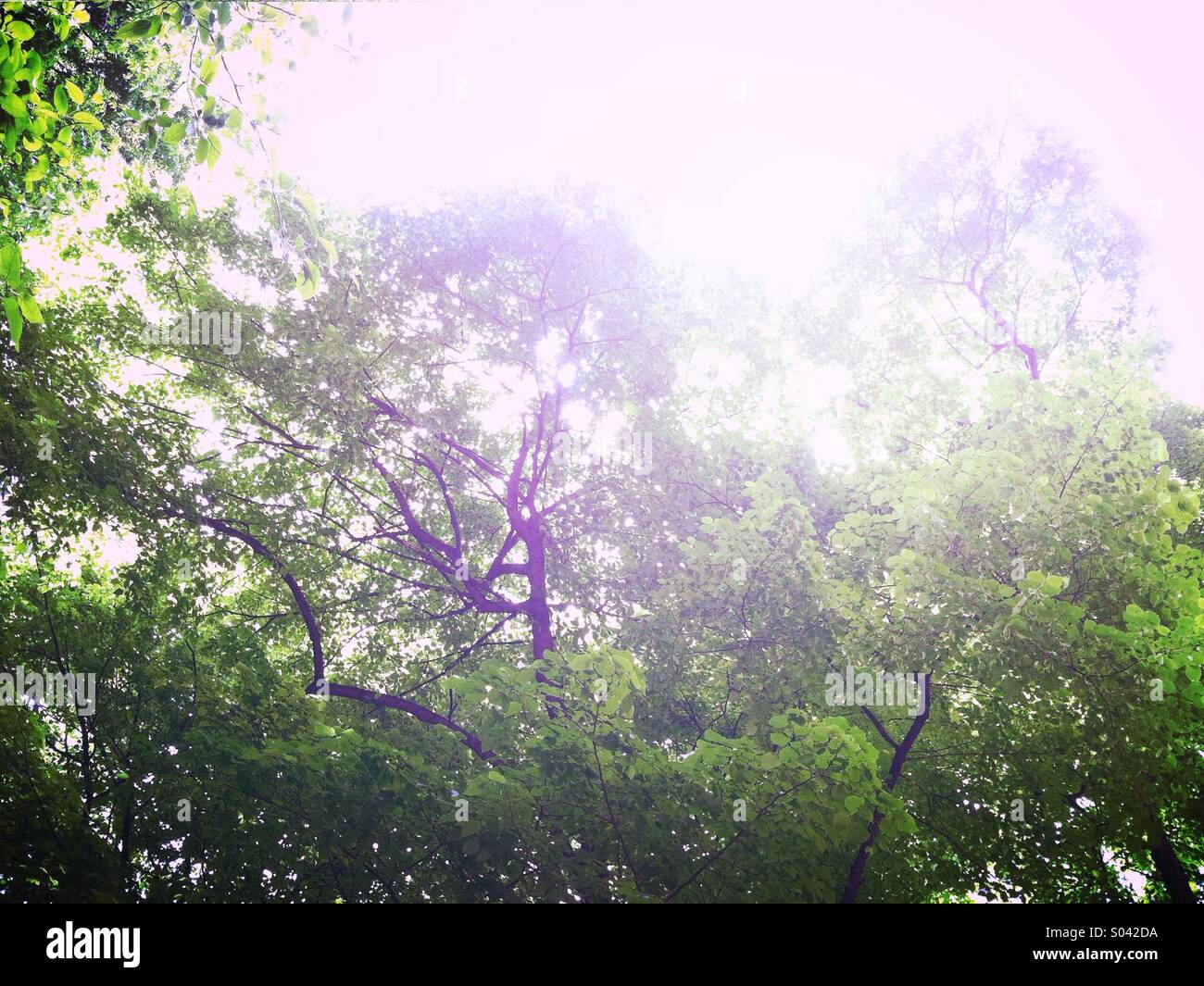 Sunshine peering hi-res stock photography and images - Alamy