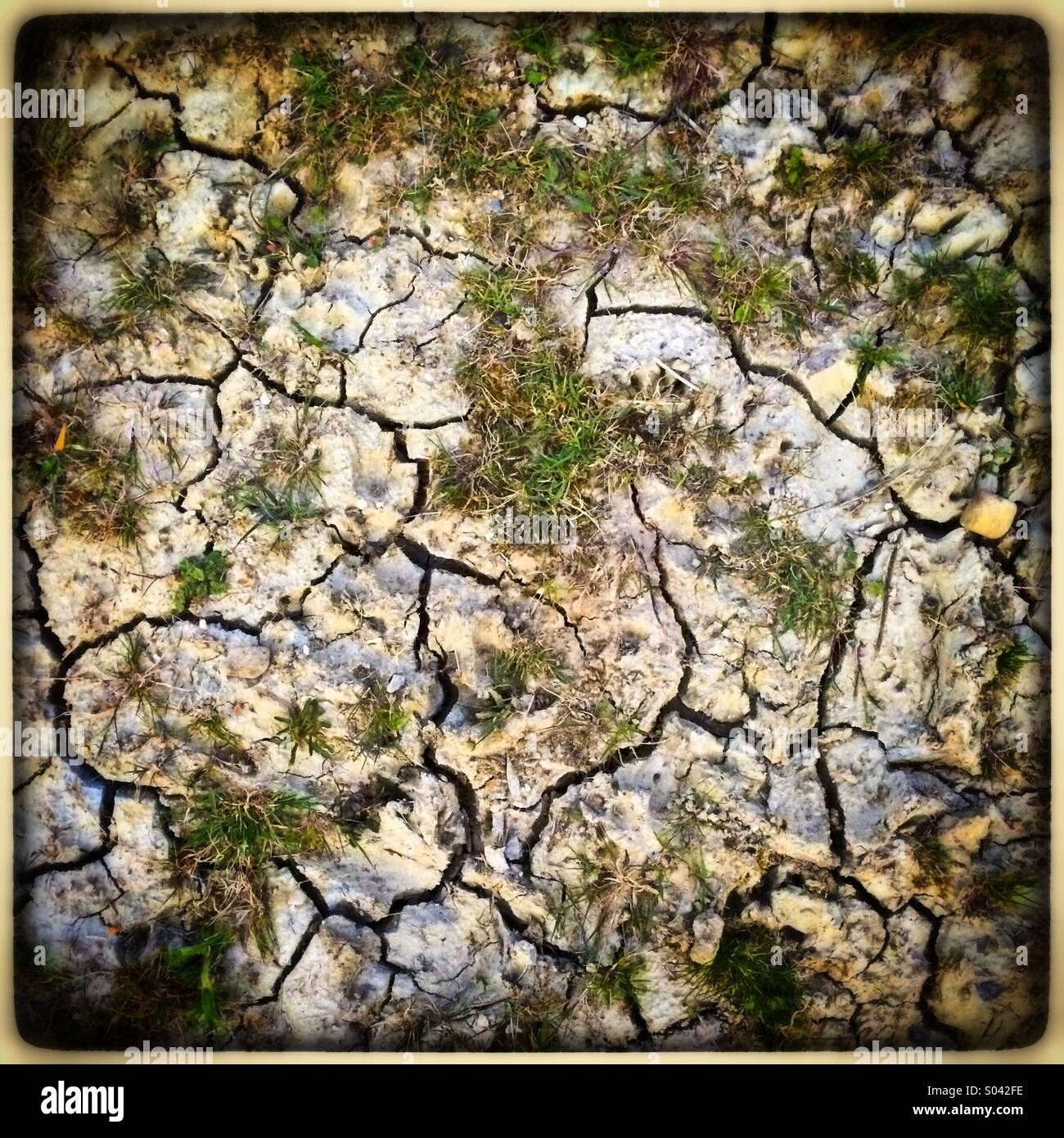 Cracked dry ground Stock Photo - Alamy