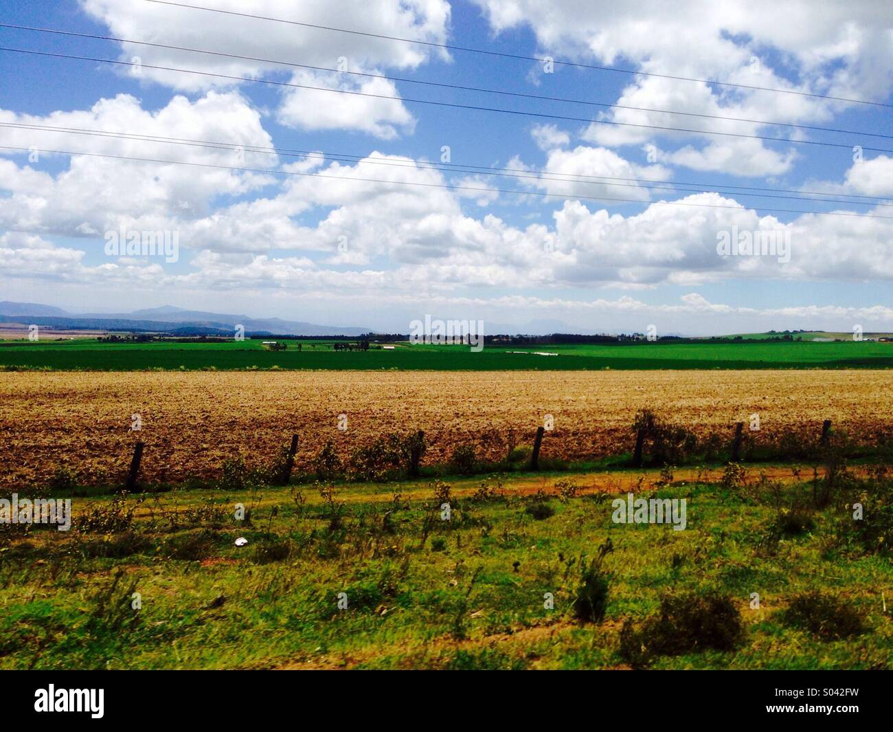 Barley farm hi-res stock photography and images - Alamy