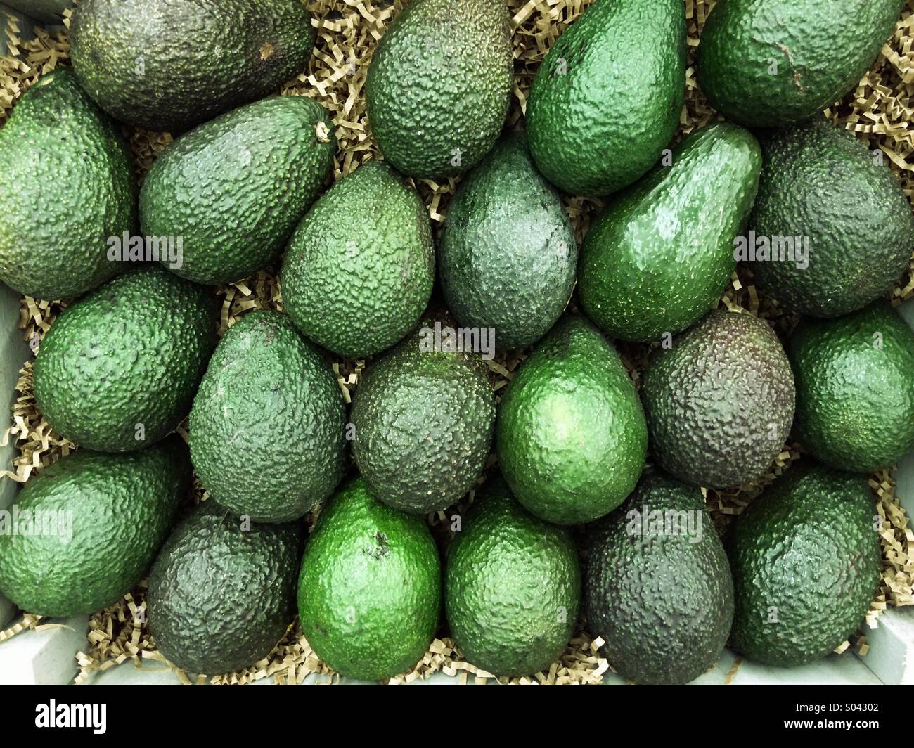 Green Hass Avocados Stock Photo - Alamy