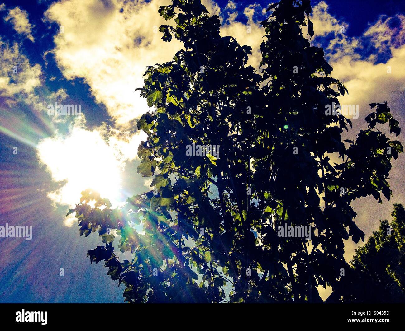 Rays of sunshine hi-res stock photography and images - Alamy