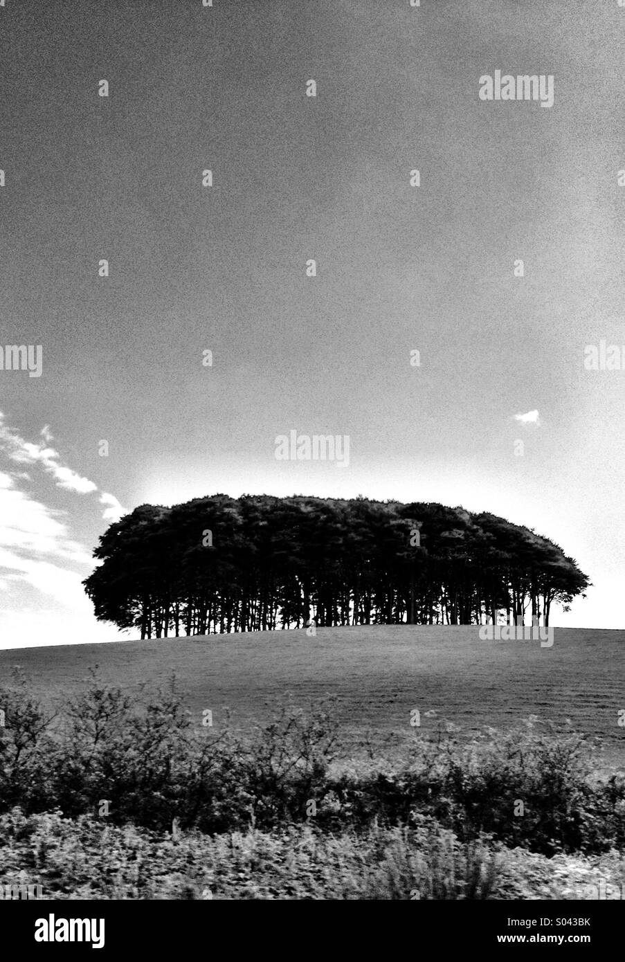 Climate stand Black and White Stock Photos & Images - Alamy