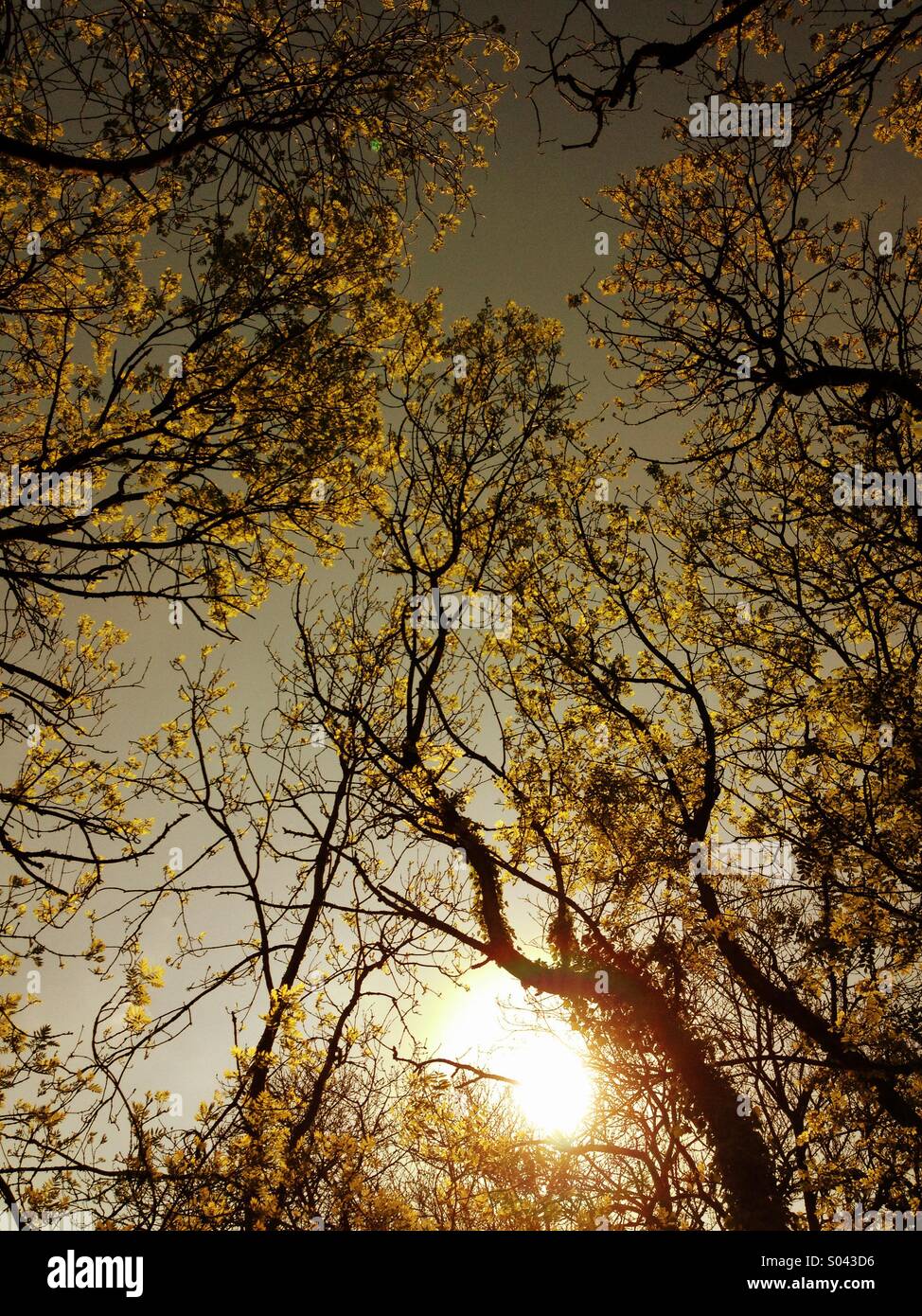 Warm romance art hi-res stock photography and images - Alamy