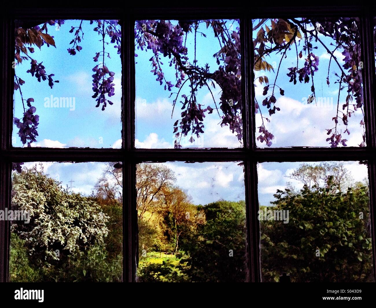 Cottage window view Stock Photo - Alamy