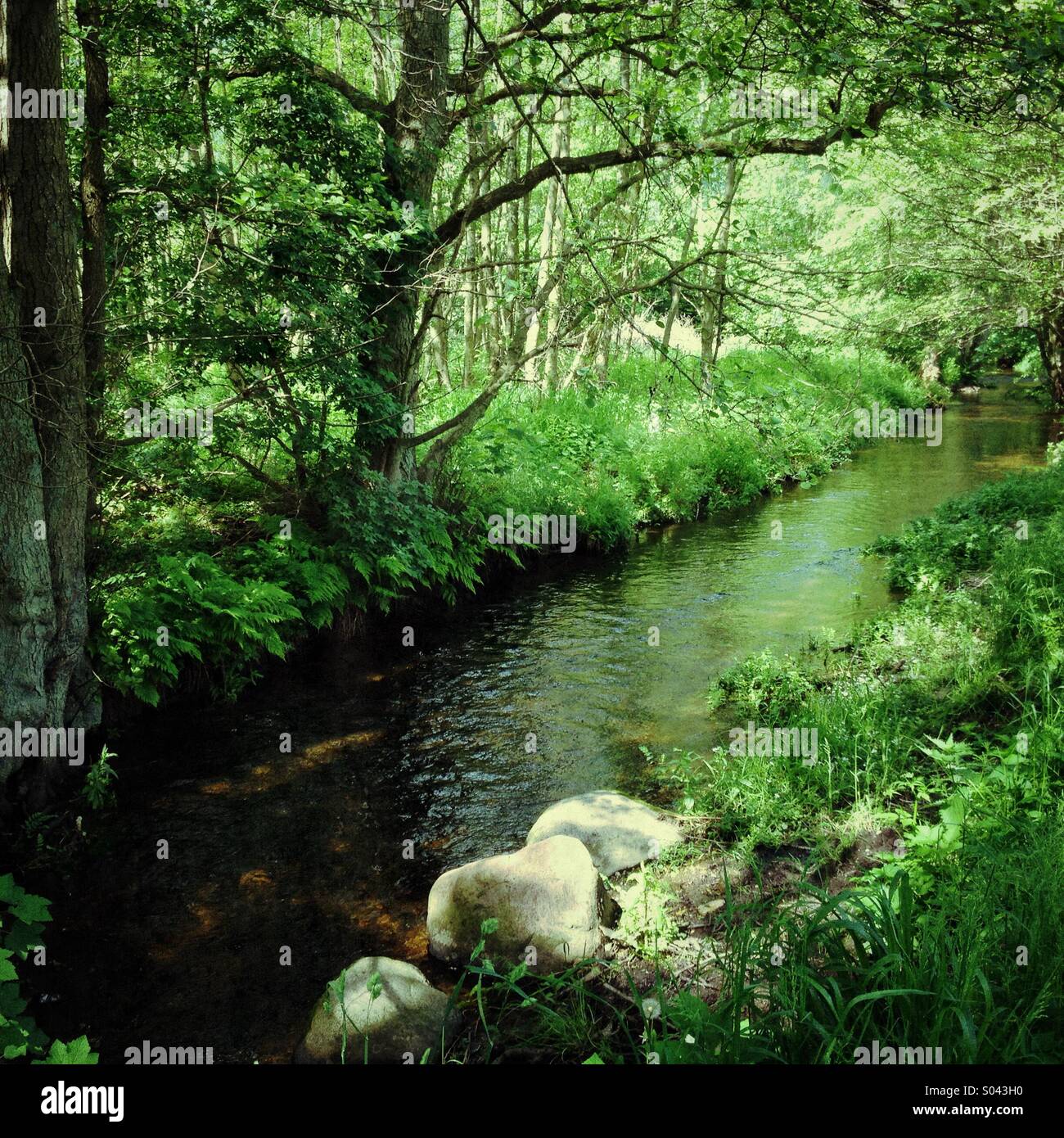 Water stone stones hi-res stock photography and images - Alamy