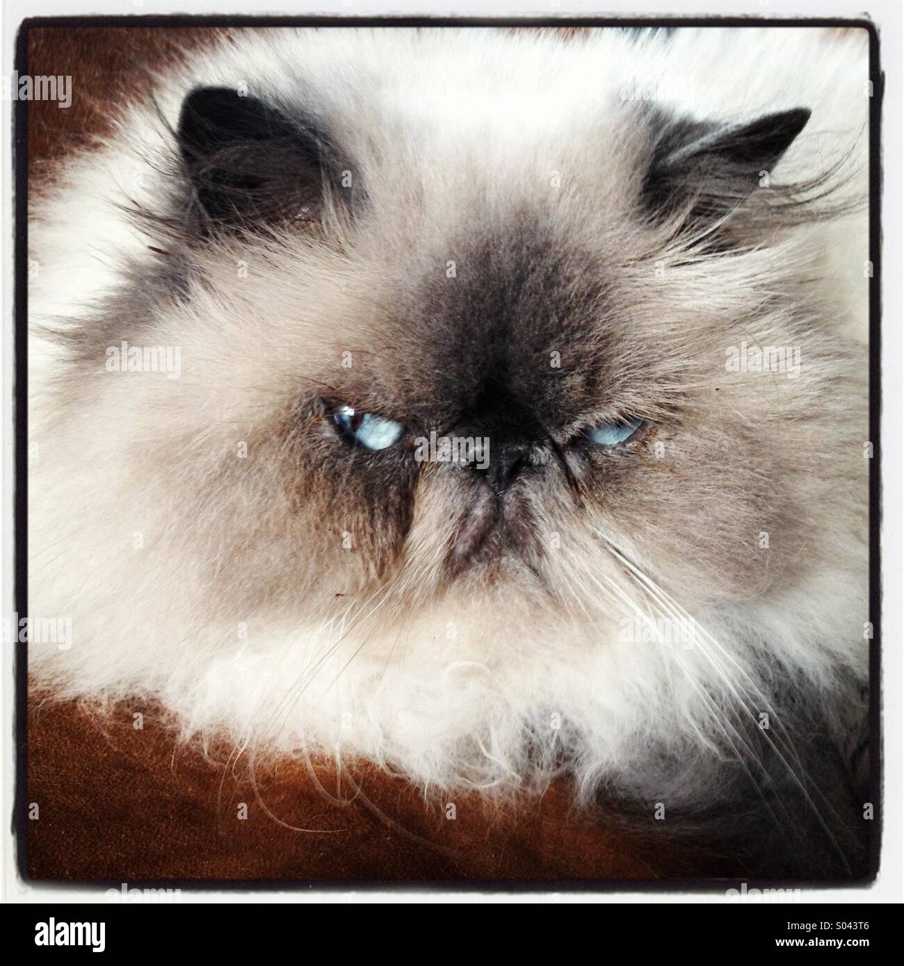 He unimpressed hi-res stock photography and images - Alamy